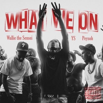 Wallie the Sensei Albums, Songs - Discography - Album of The Year