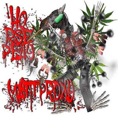 matt proxy - trojan horse - Reviews - Album of The Year