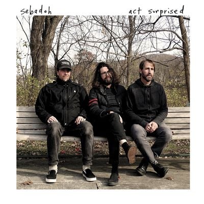 Sebadoh - Bakesale - Reviews - Album of The Year