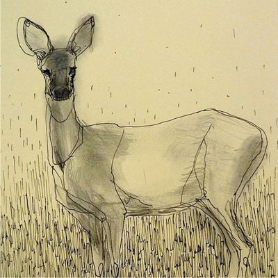 Vegyn Albums, Songs - Discography - Album of The Year