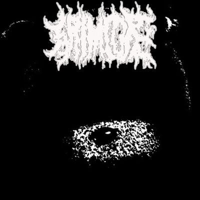 boolymon Albums, Songs - Discography - Album of The Year