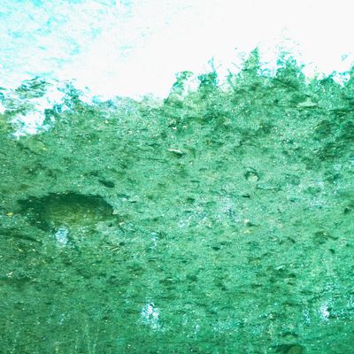 Static Disc - Label - Album of The Year