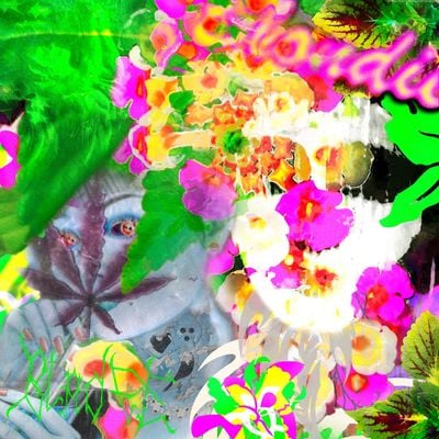 Bladee Albums, Songs - Discography - Album of The Year