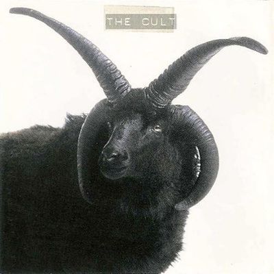 The Cult Albums, Songs - Discography - Album of The Year