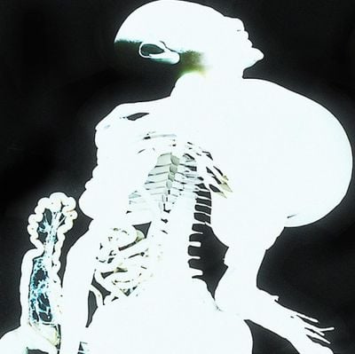Arca Albums, Songs - Discography - Album of The Year