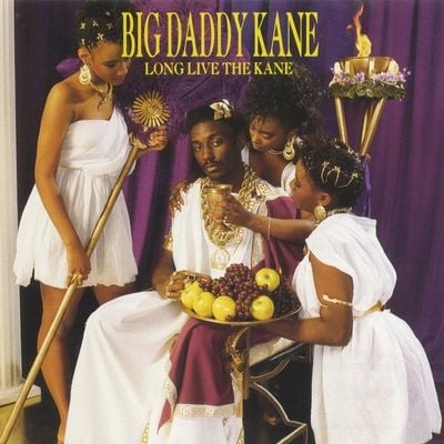 Big Daddy Kane - Curtain Call - Reviews - Album of The Year