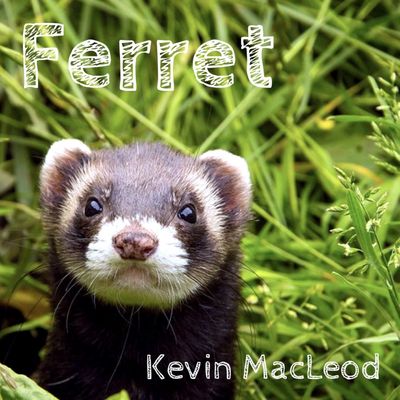 Kevin MacLeod Albums, Songs - Discography - Album of The Year