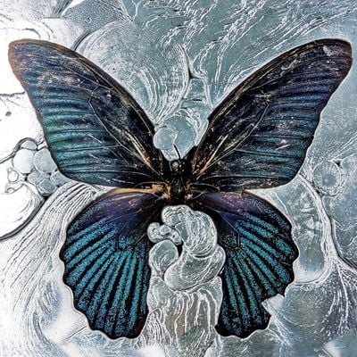 Arca Albums, Songs - Discography - Album of The Year