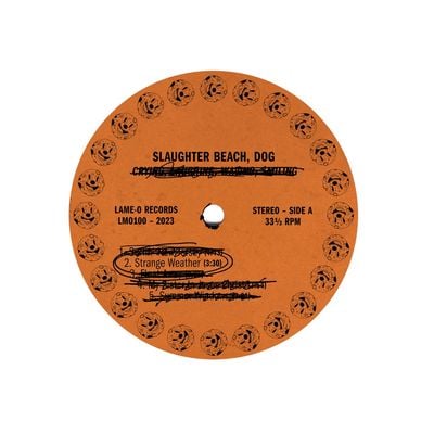 Slaughter Beach, Dog Albums, Songs - Discography - Album of The Year