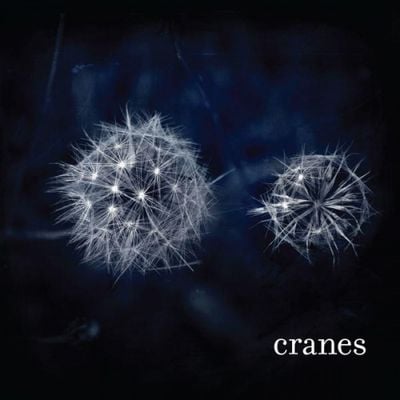 Cranes Albums, Songs - Discography - Album of The Year