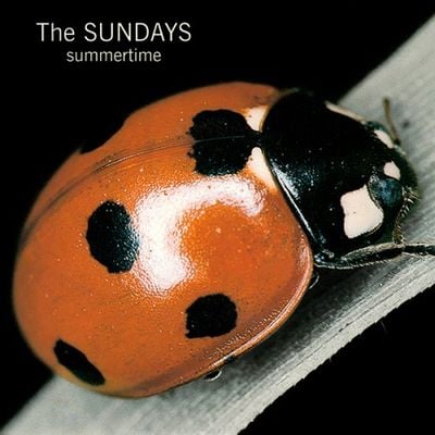 The Sundays Albums, Songs - Discography - Album of The Year
