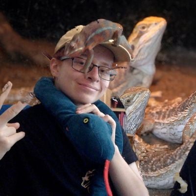 Cavetown Albums, Songs - Discography - Album of The Year