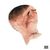 User Lists That Contain Número 7 by Bon Calso - Album of the Year