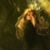 brakence Albums, Songs - Discography - Album of The Year