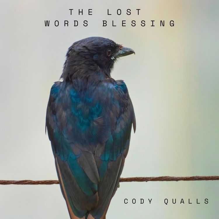 Cody Qualls - The Lost Words Blessing - Reviews - Album of The Year
