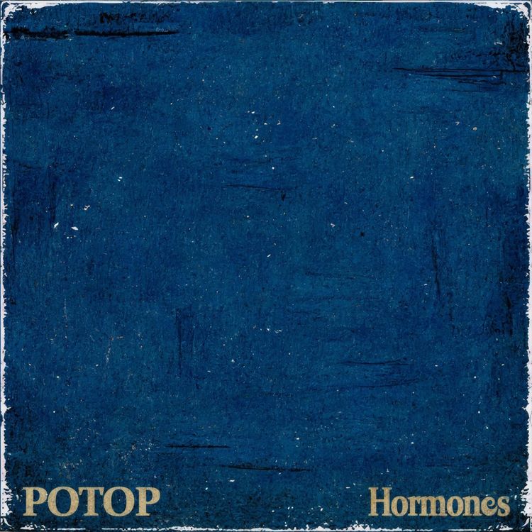 Potop - Hormones - Reviews - Album of The Year