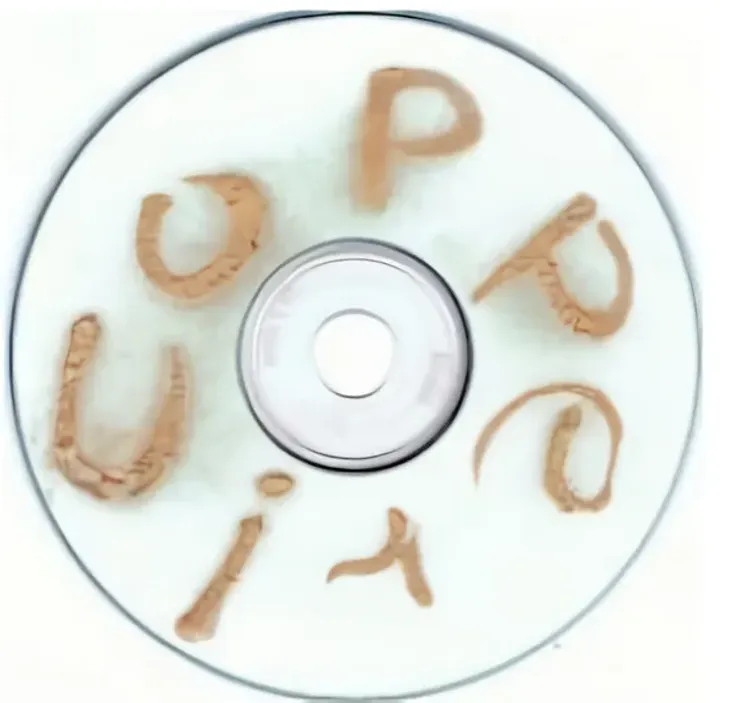 Copper - copper! - Reviews - Album of The Year