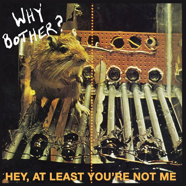 Why Bother? - Hey, At Least You're Not Me - Reviews - Album of The Year