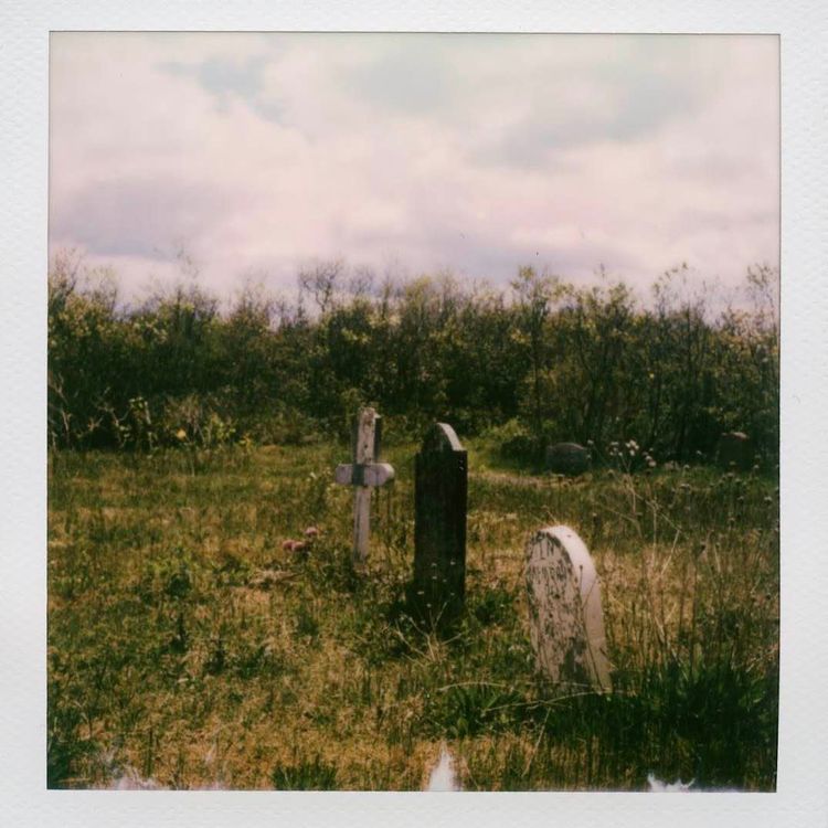 Themusicnerdguy - Graveyard (1st Anniversary Edition) (Reissue ...
