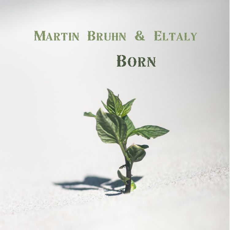 Martin Bruhn - Born - Reviews - Album of The Year