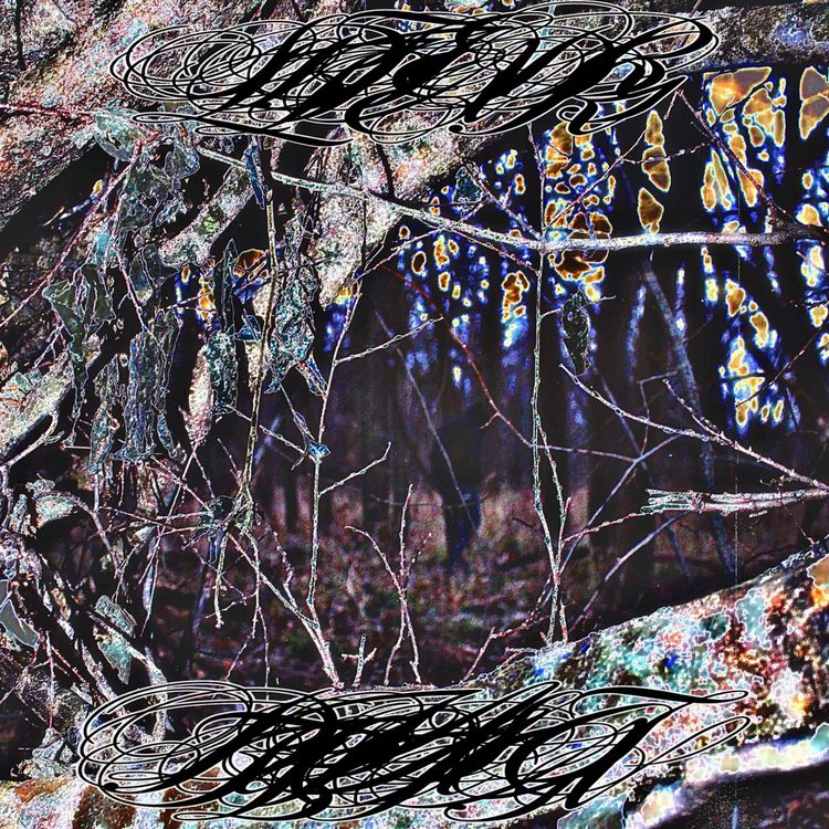 Sterling Bidler - A Big Distraction - Reviews - Album of The Year
