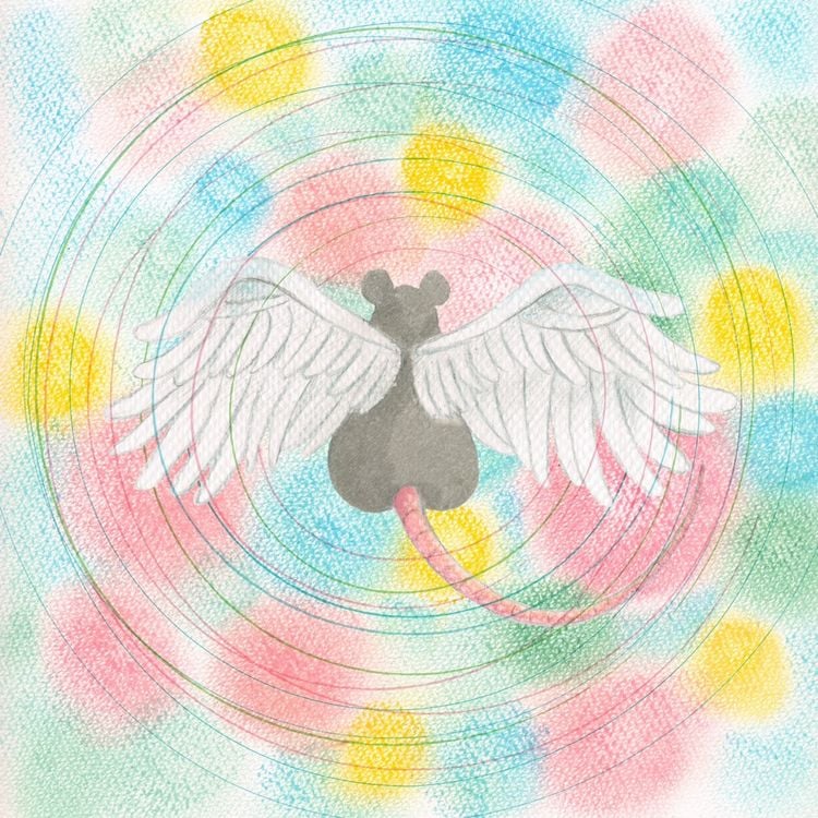 Mei Semones - Animaru - Reviews - Album of The Year