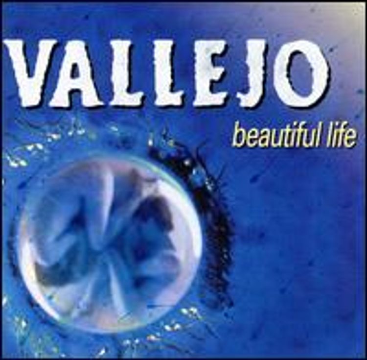 Vallejo - Beautiful Life - Reviews - Album of The Year
