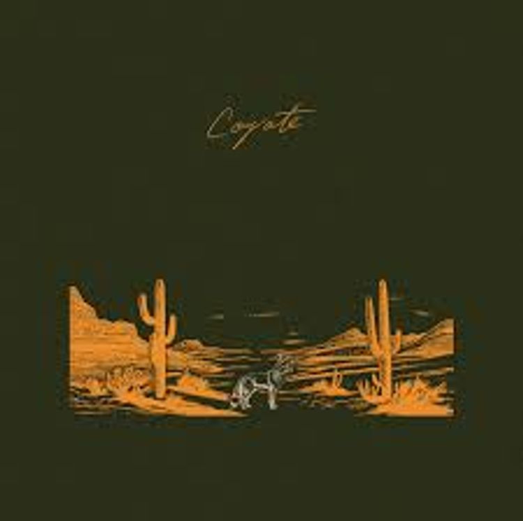 Mt. Joy - Coyote (Single) - Reviews - Album of The Year