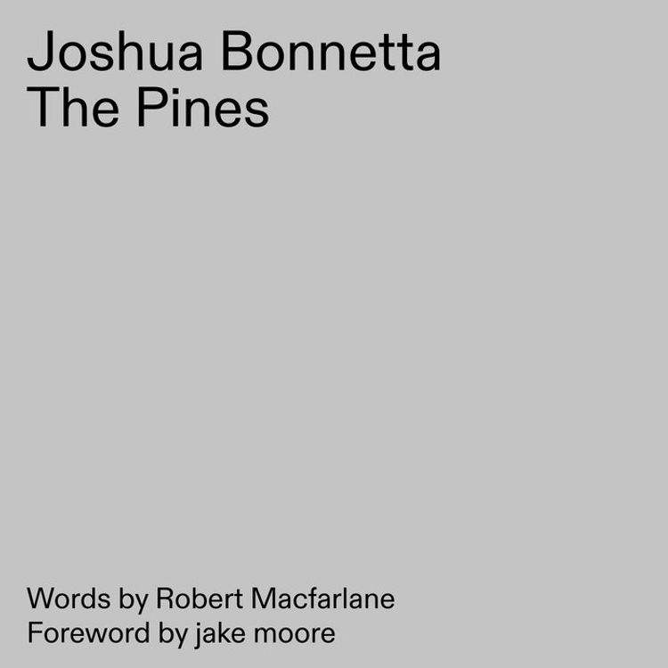 Joshua Bonnetta - The Pines - Reviews - Album of The Year