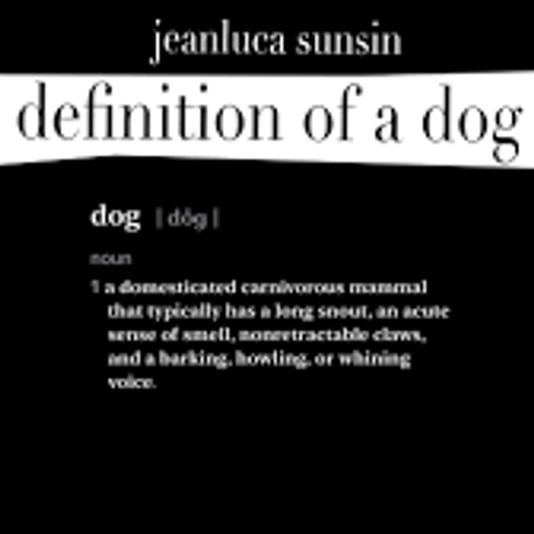 Jeanluca Sunsin - Definition of a Dog - Reviews - Album of The Year