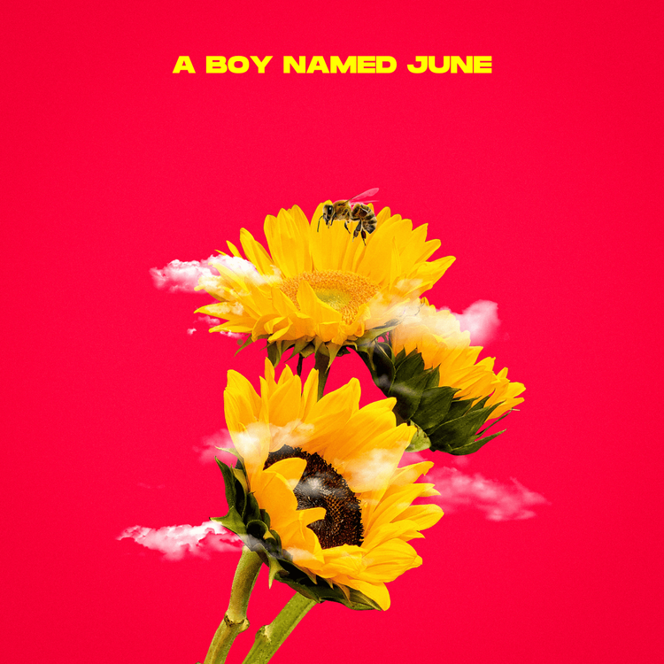 Jimmy Pinkwave - A Boy Named June (Single) - Reviews - Album of The Year