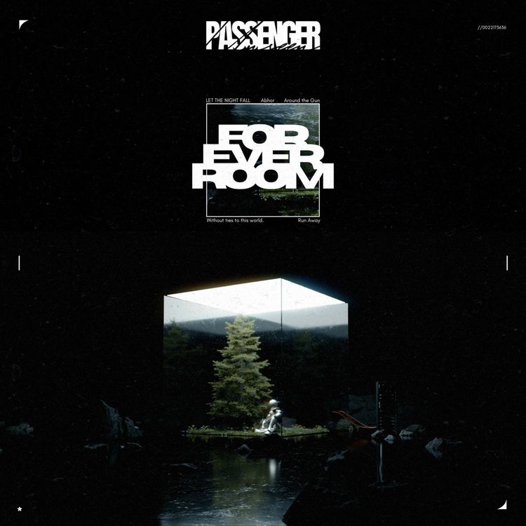 Passenger Unseen - Forever Room - Reviews - Album of The Year