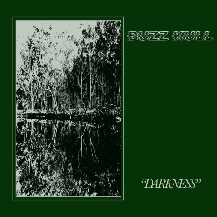 Buzz Kull - Darkness - Reviews - Album of The Year