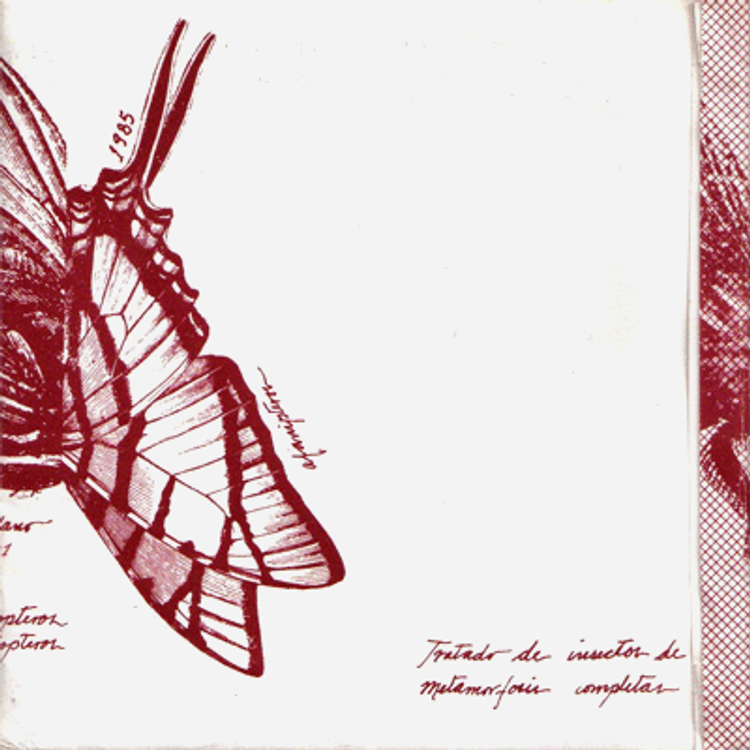 Rolando Chia & Darsel Salinas - Tratado de insectos de metamorfósis ...
