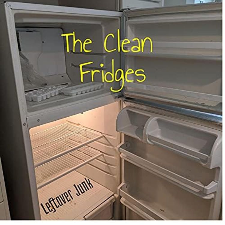The Clean Fridges - Leftover Junk - Reviews - Album of The Year