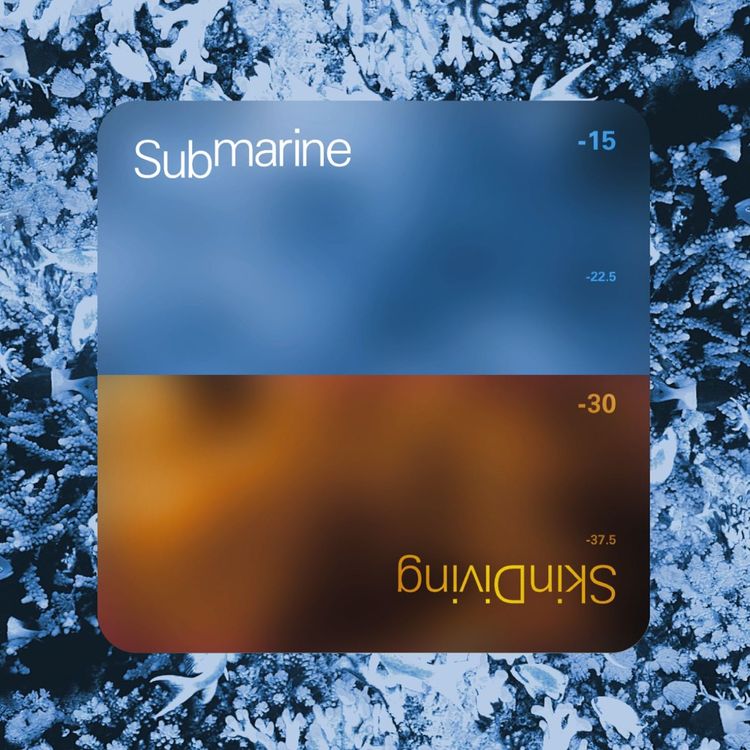 Submarine - Skin Diving - Reviews - Album of The Year