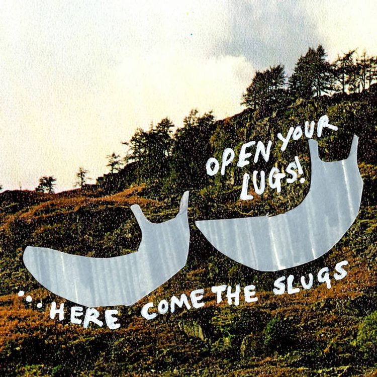 The Slugs - Open Your Lugs! Here Comes The Slugs! - Reviews - Album of ...