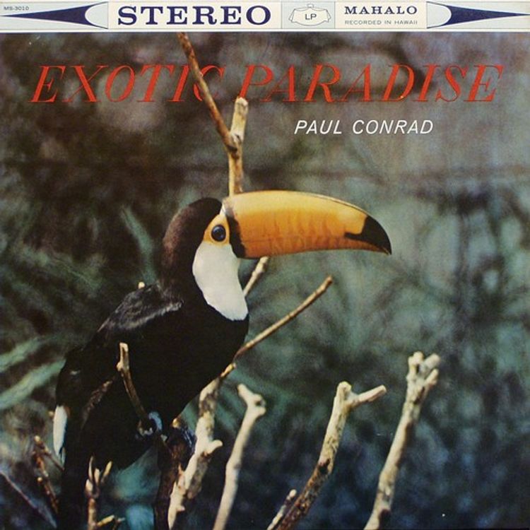 Paul Conrad - Exotic Paradise - Reviews - Album of The Year