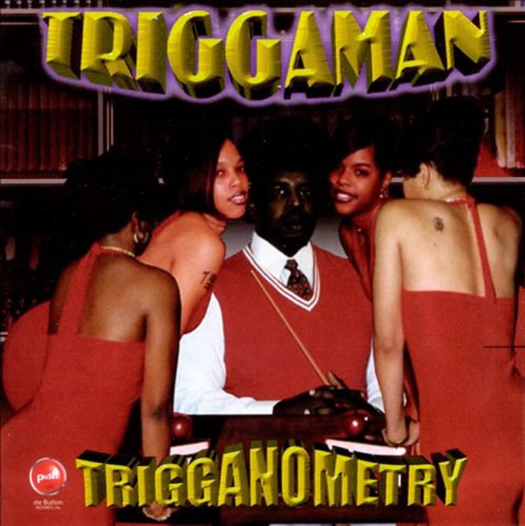 Triggaman - Trigganometry - Reviews - Album of The Year