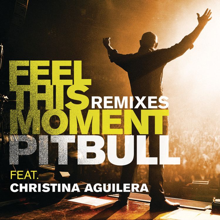 Pitbull - Feel This Moment Remixes - Reviews - Album of The Year