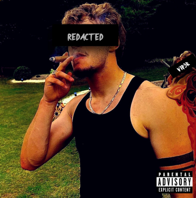 V1P3R - REDACTED - Reviews - Album of The Year