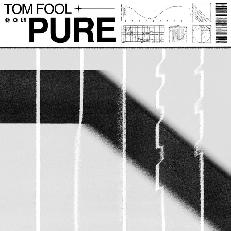 Tom Fool - Pure (Single) - Reviews - Album of The Year