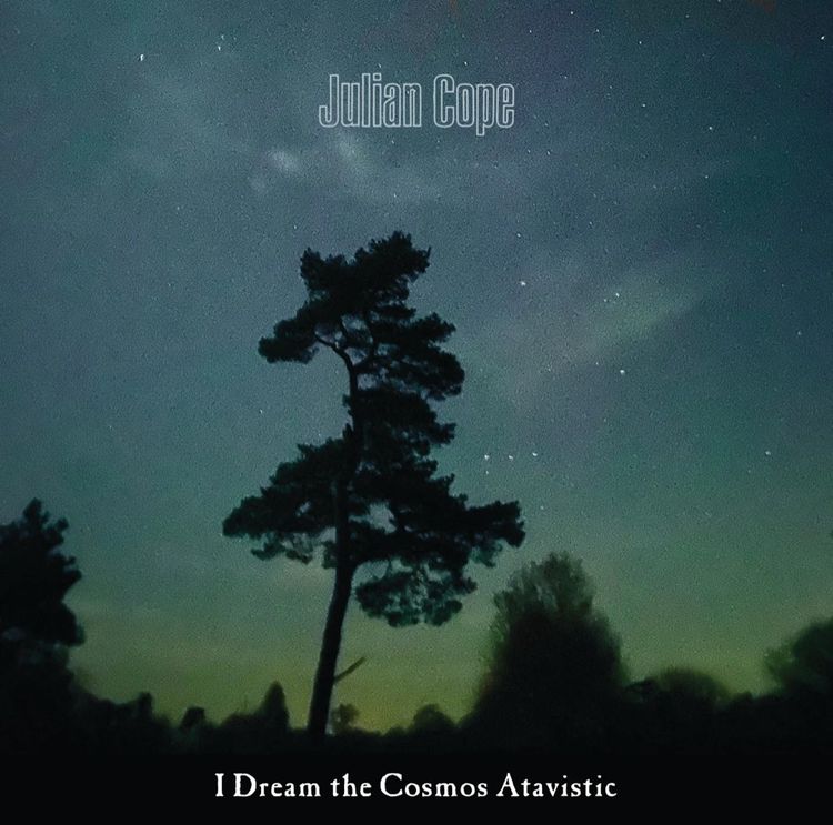 Julian Cope - I Dream the Cosmos Atavistic - Reviews - Album of The Year
