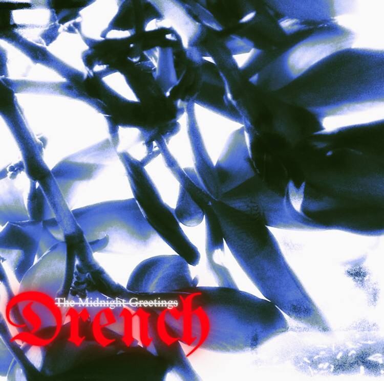 The Midnight Greetings - Drench - Reviews - Album of The Year