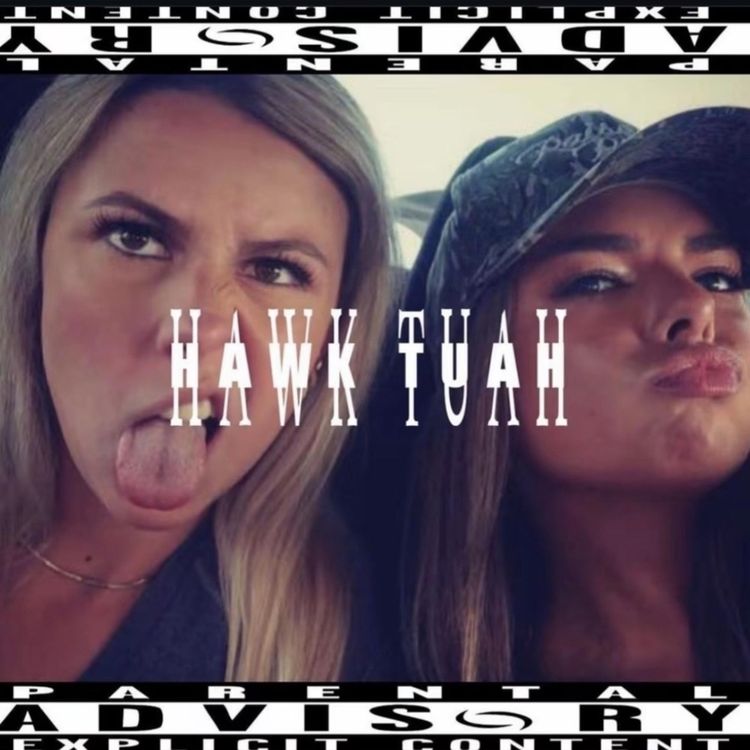 Kroka Koka - HAWK TUAH (Single) - Reviews - Album of The Year