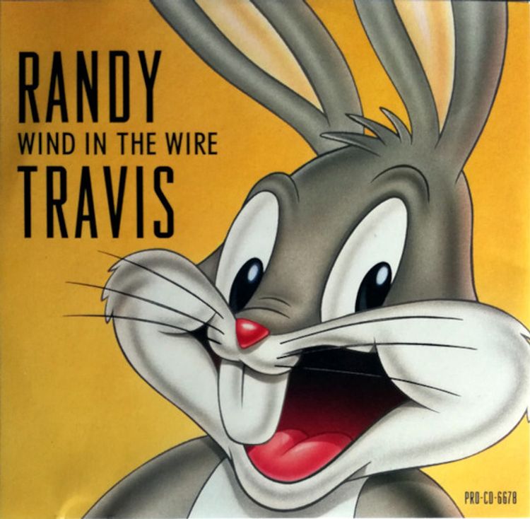 Randy Travis - Wind in the Wire (Single) - Reviews - Album of The Year
