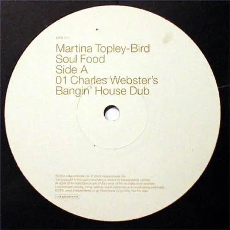 Martina Topley-Bird - Soul Food (Single) - Reviews - Album of The Year