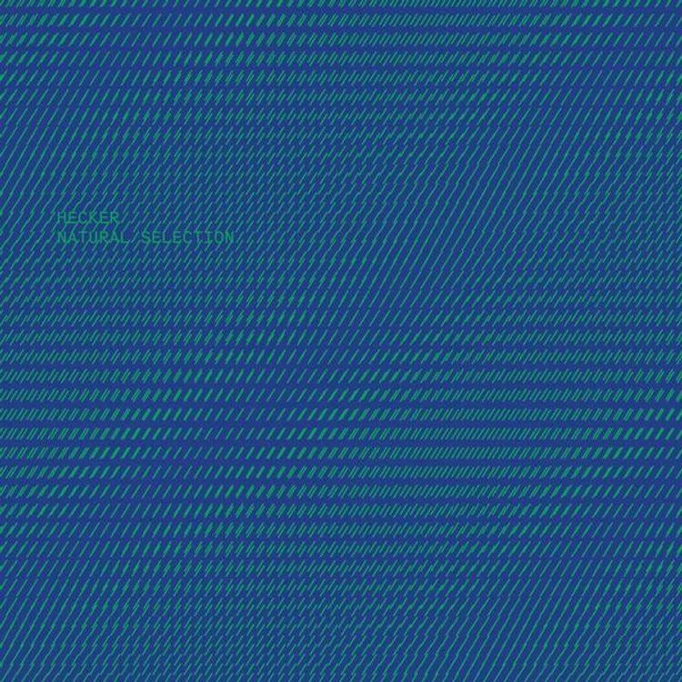 Florian Hecker - Natural Selection - Reviews - Album of The Year