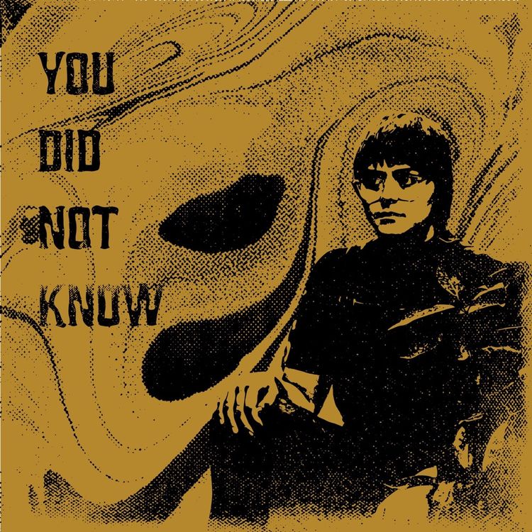 Strange Bangs - You Did Not Know (Single) - Reviews - Album of The Year