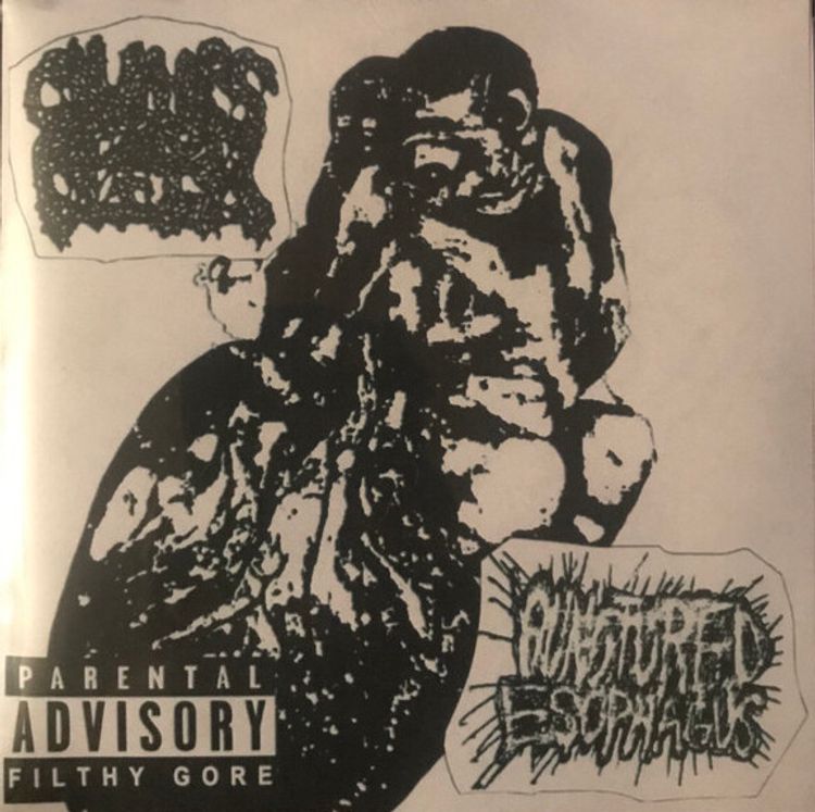 Punctured Esophagus & Clumps of Flesh - Parental Advisory Filthy Gore ...